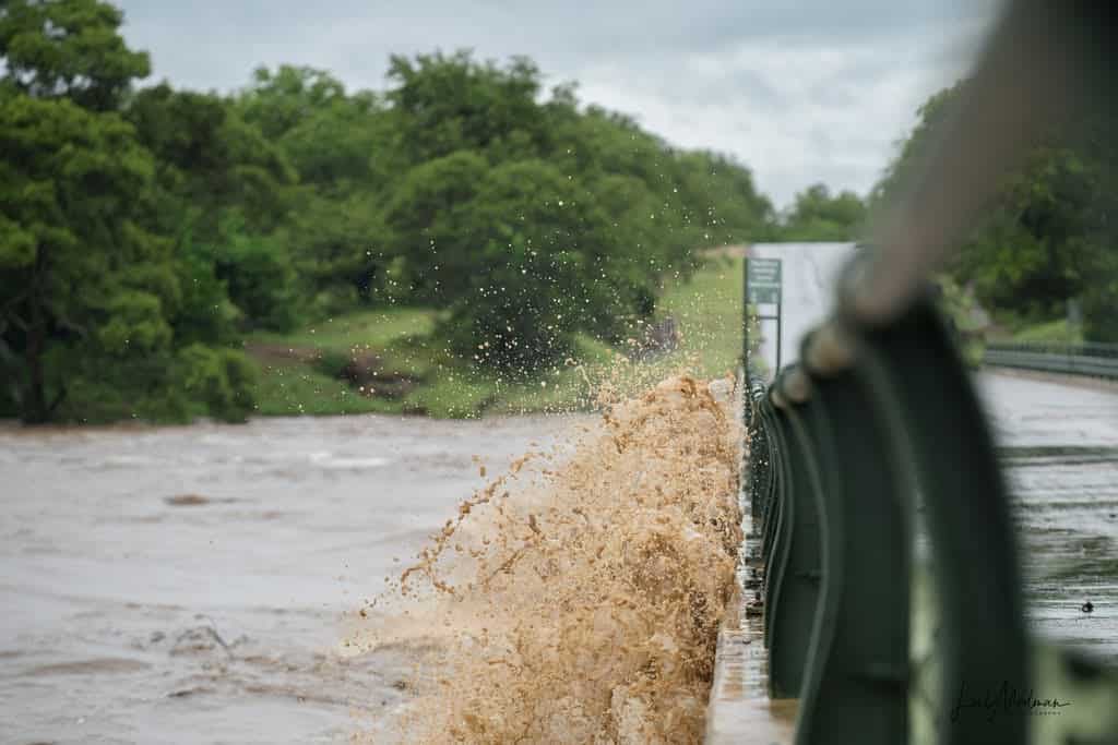 Kruger floods wrap-up: Here’s what you need to know | Mpumalanga News