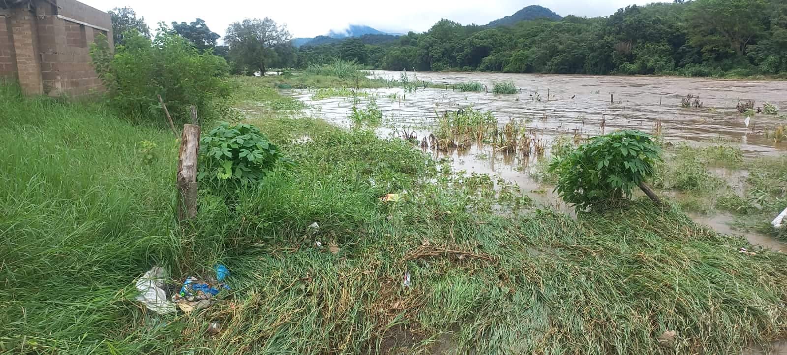 Overflowing Crocodile River invades Tekwane South properties ...