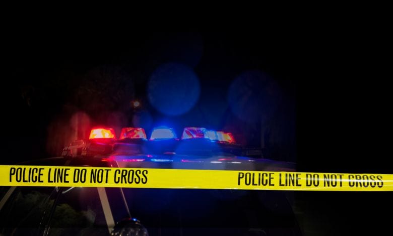 SAPS flags Bushbuckridge ‘voter assault’ video as fake | Mpumalanga News