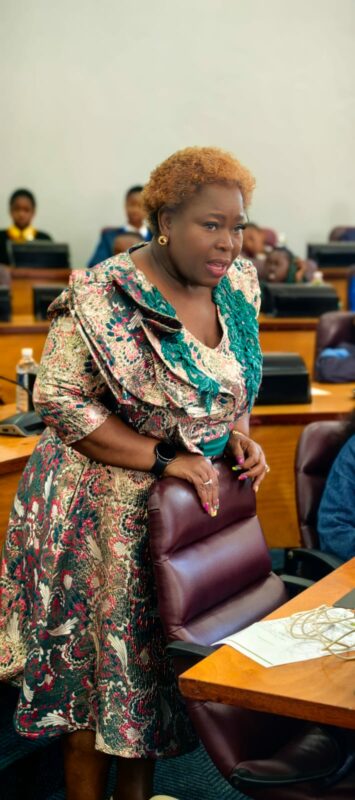 New Junior Council takes office in Bushbuckridge Local Municipality ...