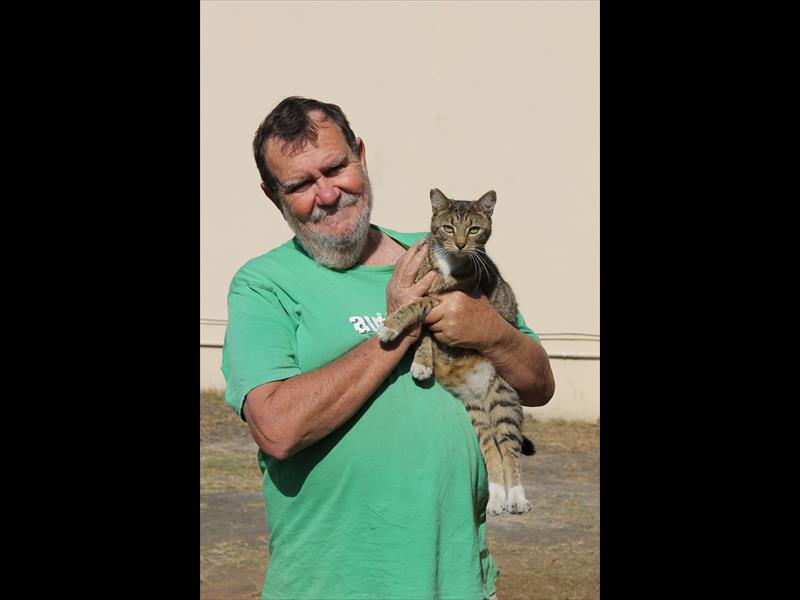 Cat man loses his wheels | Berea Mail