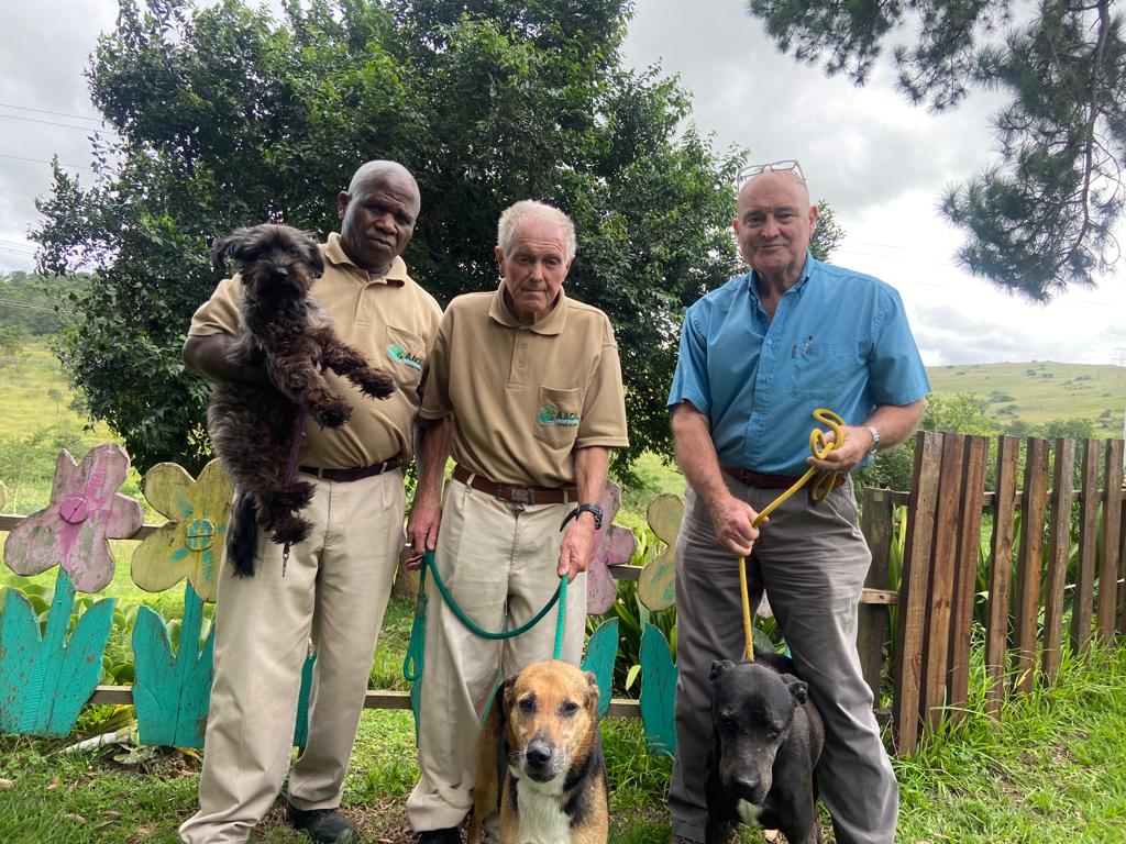Prioritising the well-being of animals | Berea Mail