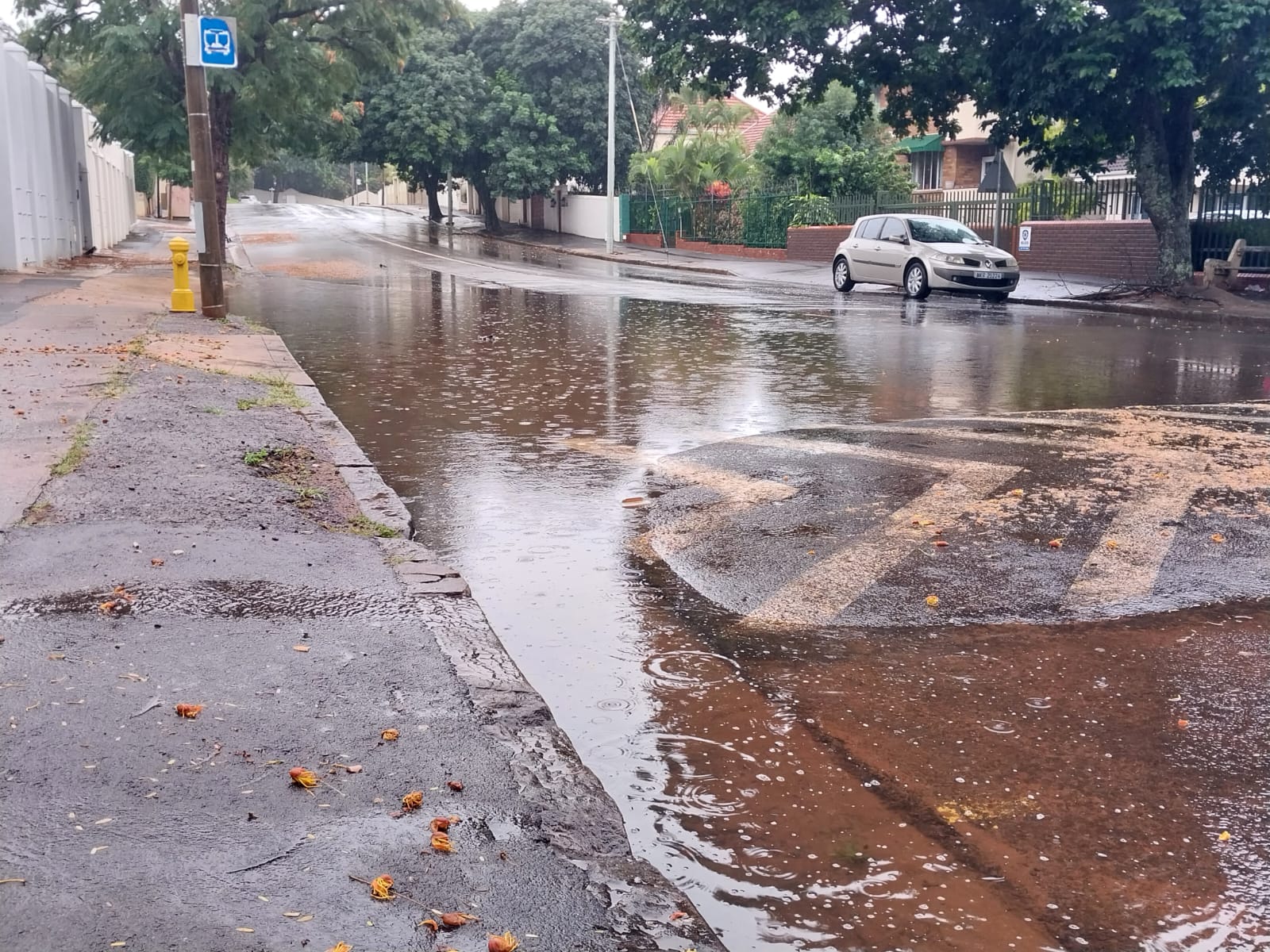 Weather warning issued, localised flooding probable | Berea Mail