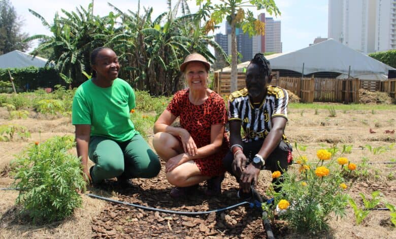 North Beach's Sisonke City Farm goes green, creates jobs | Berea Mail