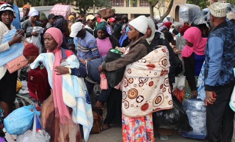 Ntuli warns of disaster risk as 12 babies are born at migrant camp ...