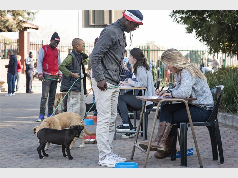 Alex's most successful SPCA dog day, ever | Alex News