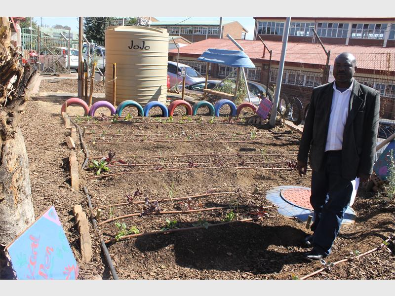 Zenzeleni Primary School innovates on garden in limited space | Alex News