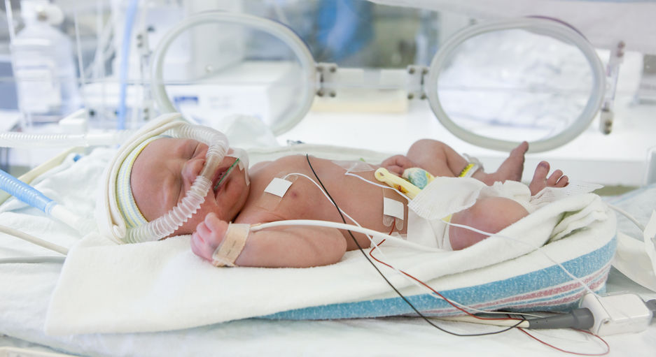 Taking care of a premature baby | Alex News