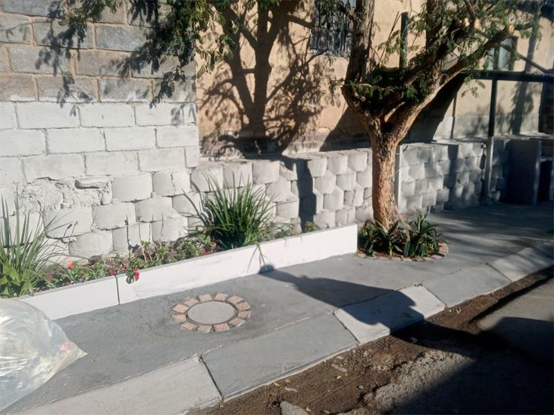 The 13th Avenue community of Alex joins hands to beautify their street ...
