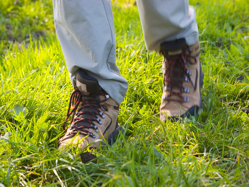 Take a nature hike | Highway Mail