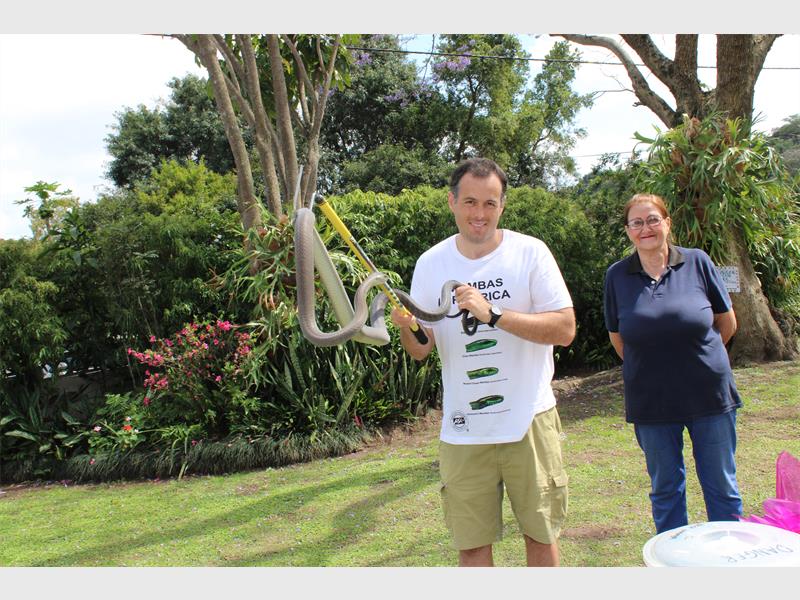 Highway snake catcher hosts fascinating snake talk | Highway Mail