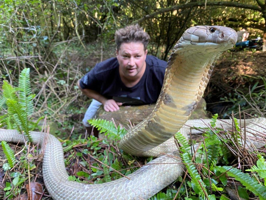 See the wild side with adventurer, Dingo Dinkelman | Highway Mail