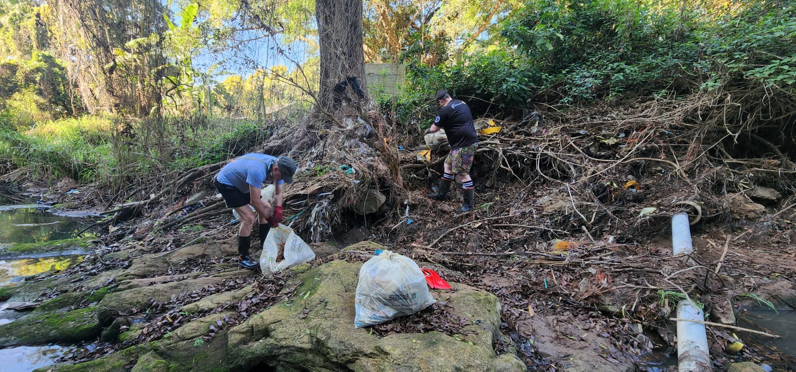 Keep Pinetown Beautiful continues to clean up | Highway Mail