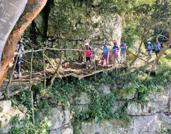 Explore nature at Molweni trails site | Highway Mail