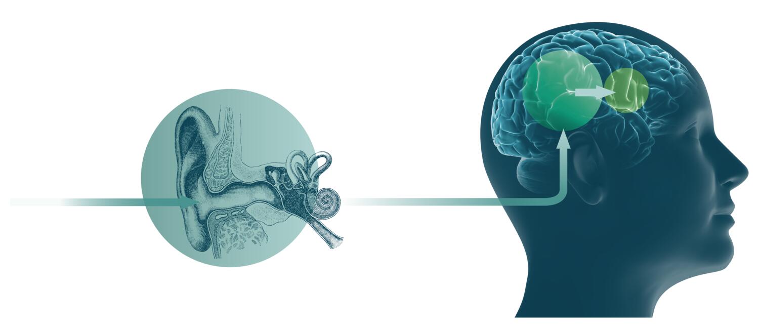 Hearing loss in children – know the signs | Highway Mail