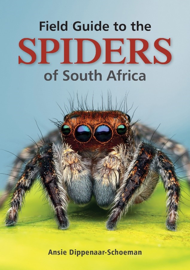 Fabulous reads: Get the jump on SA's arachnids | Highway Mail