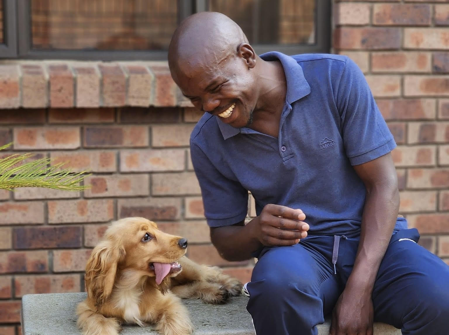 Upper Highway dog whisperer dies | Highway Mail