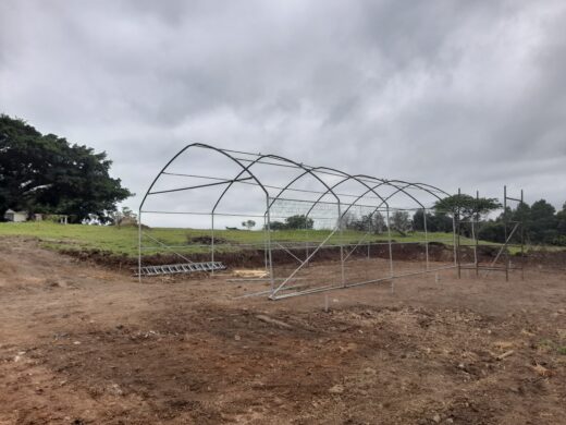 Land invasions lead to relocation of African Raptor Centre | Highway Mail