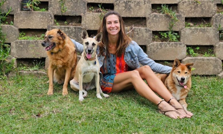 Westville resident creates a safe haven for Mexico’s stray animals ...