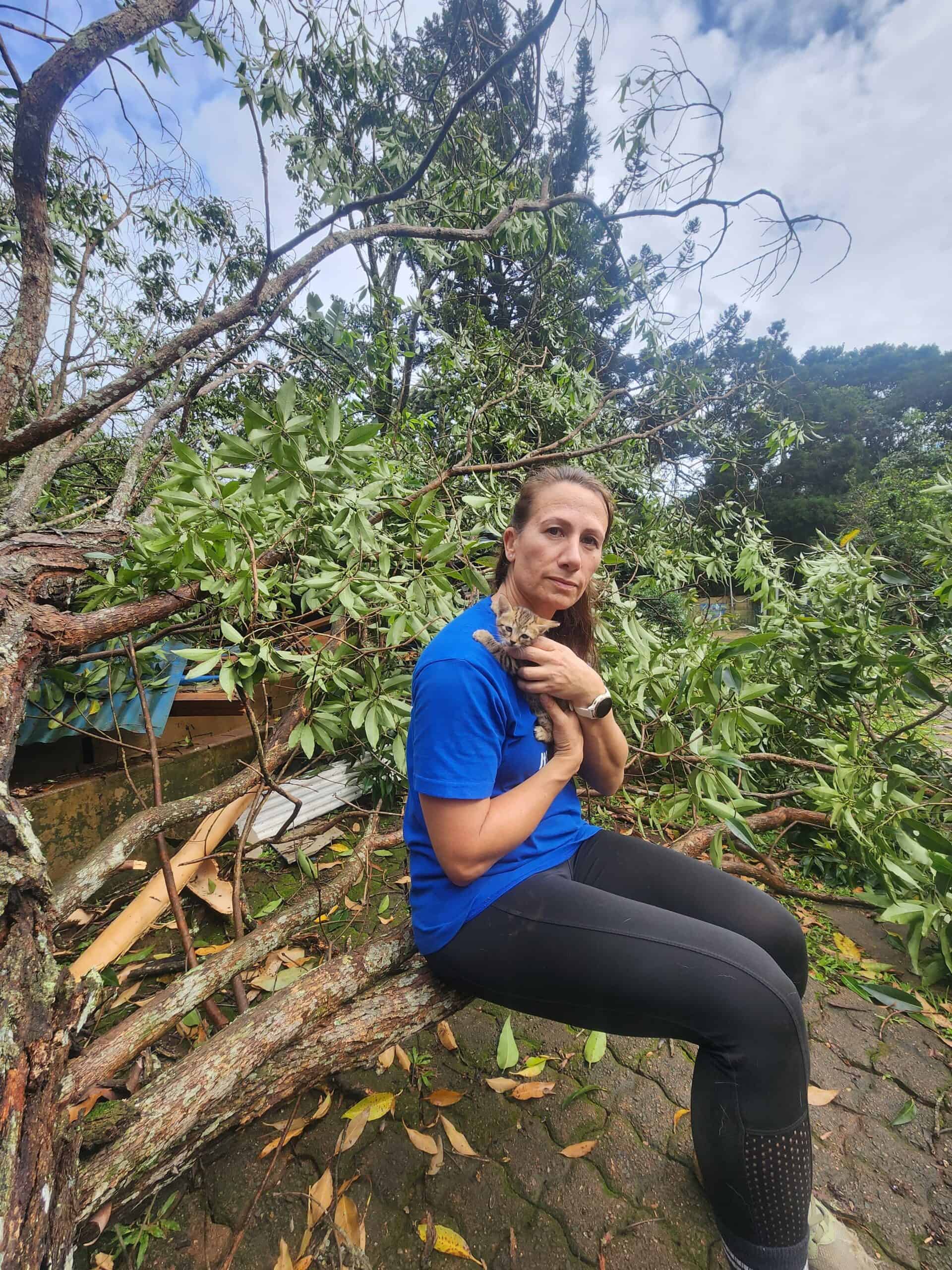 Kloof SPCA office closed after heavy rains | Highway Mail