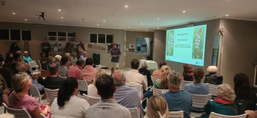 Kloof iconic project gets a thumbs up | Highway Mail