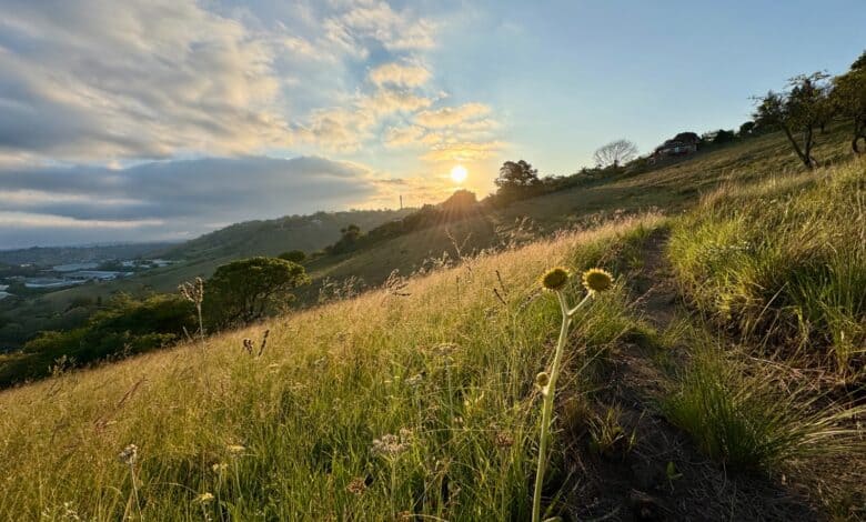 Kloof iconic project gets a thumbs up | Highway Mail