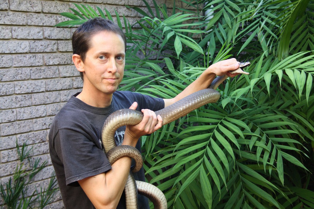 Snake activity peaks as winter approaches | Northglen News