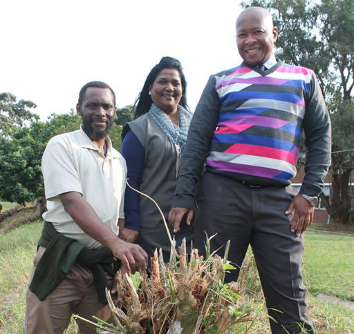 North Crest clears creeping vegetation | Northglen News