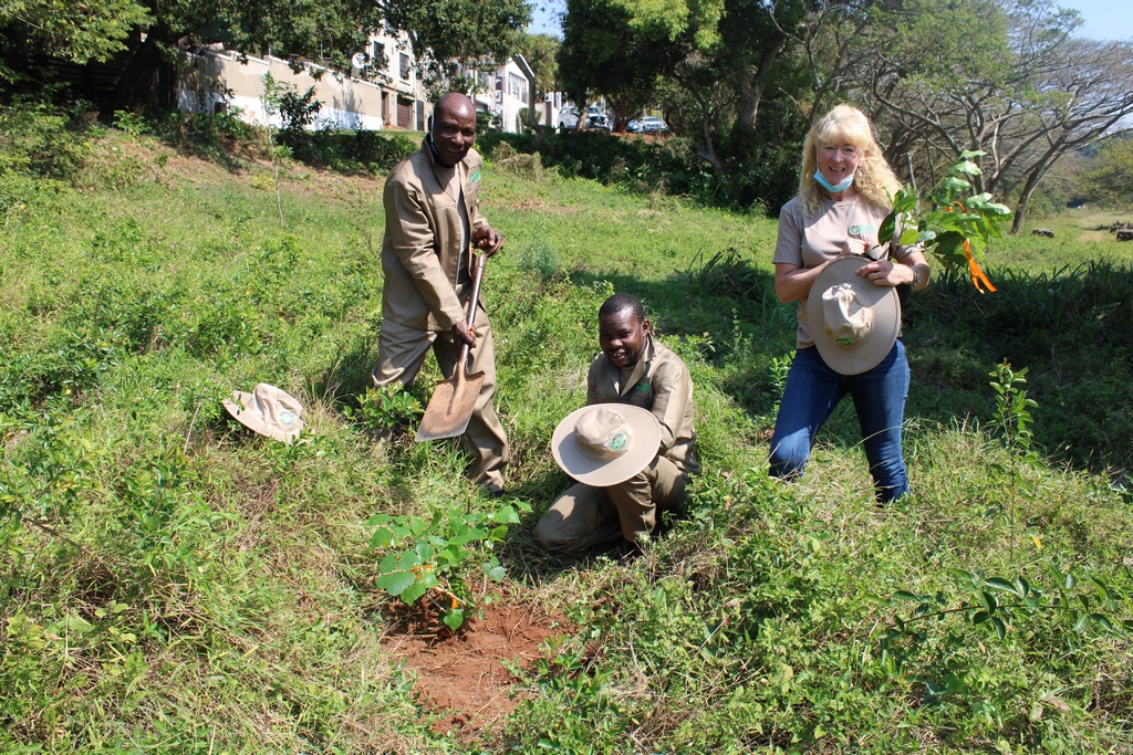 Dig deep to plant seeds of change at Bridgevale Valley | Northglen News