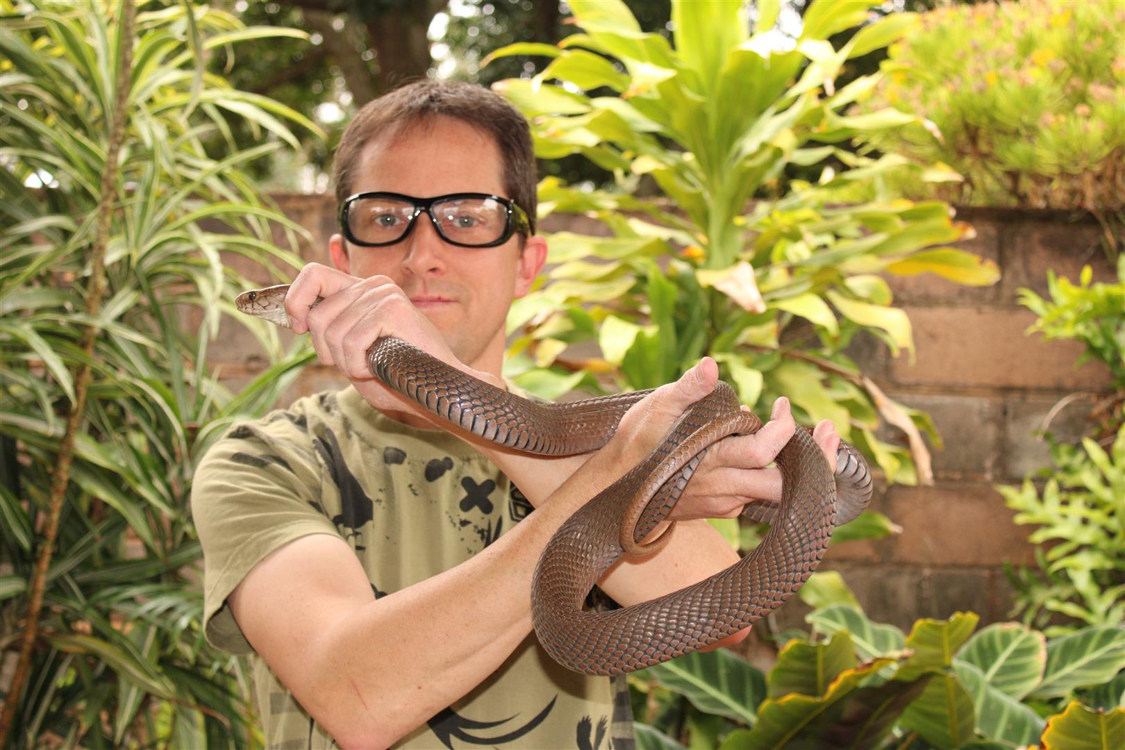 WATCH: Sunningdale snake man catches spitting cobra | Northglen News