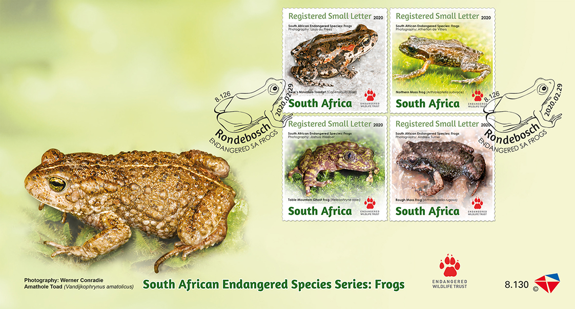 Post Office launches frog stamp collection in celebration of World ...