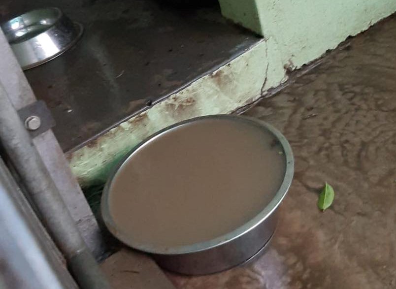 SPCA Springfield Park premises closed due to flooding | Northglen News