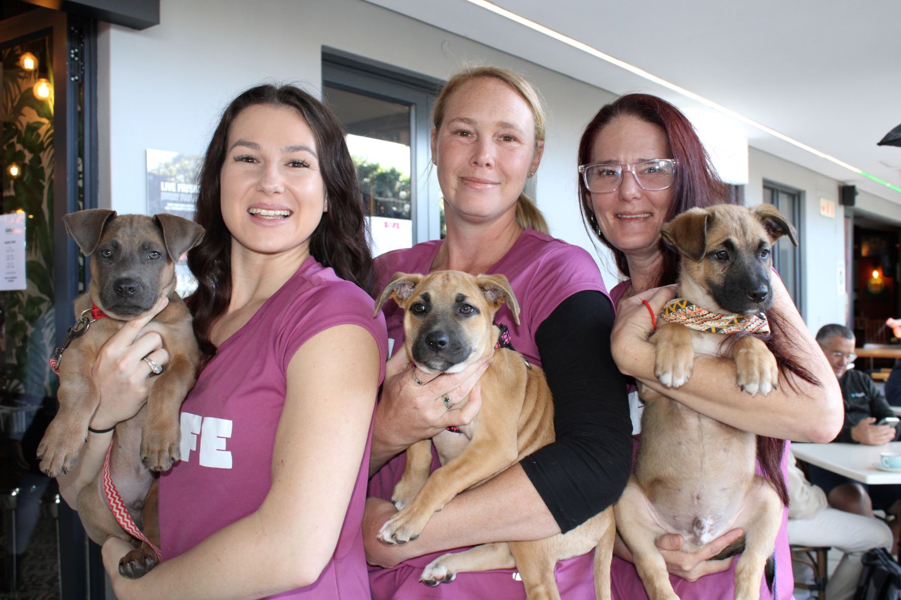 Animal foster organisation needs your help for major rescue | Northglen ...
