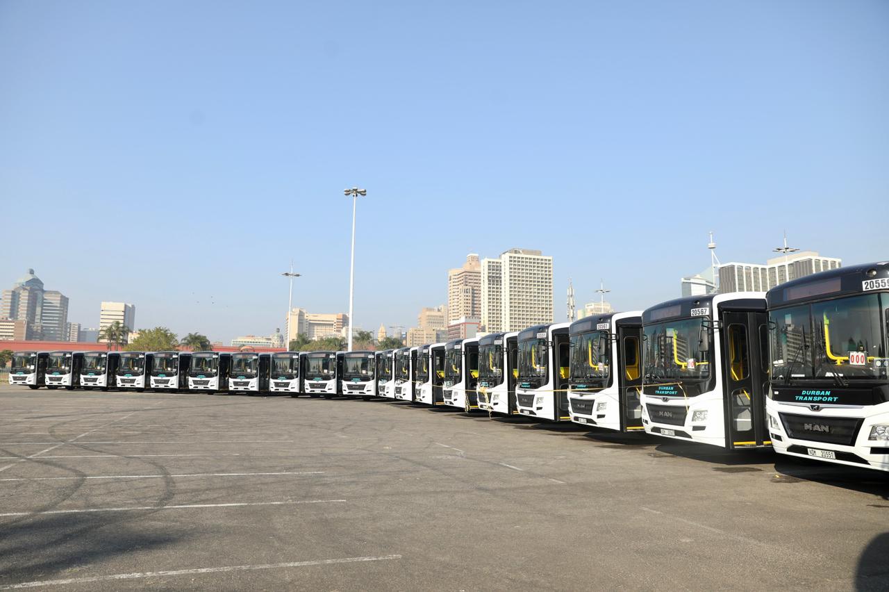 New bus fleet for City unveiled | Northglen News