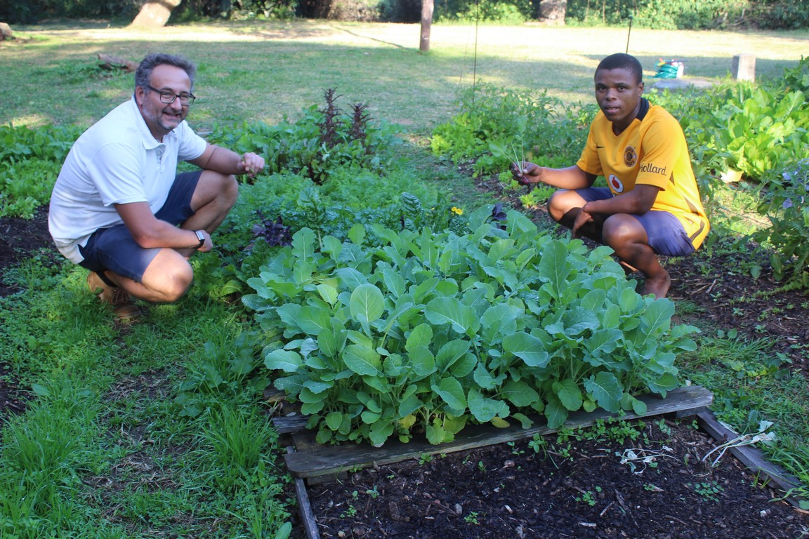 New veg garden on Forest Drive takes root | Northglen News
