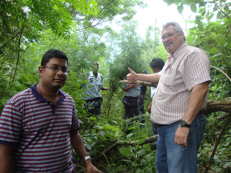 Whose dagga is it anyway? | South Coast Herald