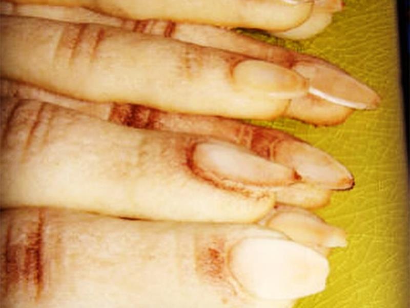 Get your ‘creep’ on with scary Halloween treats | South Coast Herald