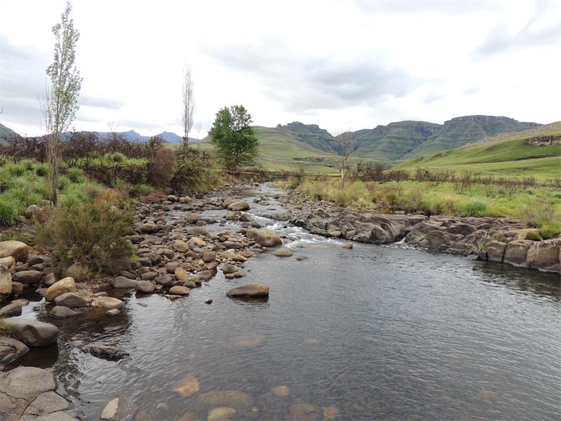 Low dam levels still a concern | South Coast Herald