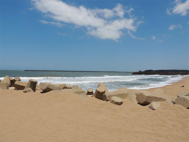 Tent Travels: Green city by the sea | South Coast Herald