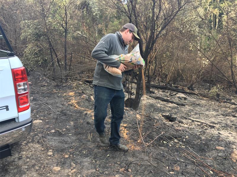 South Coaster steps up to help Knysna fire victims | South Coast Herald