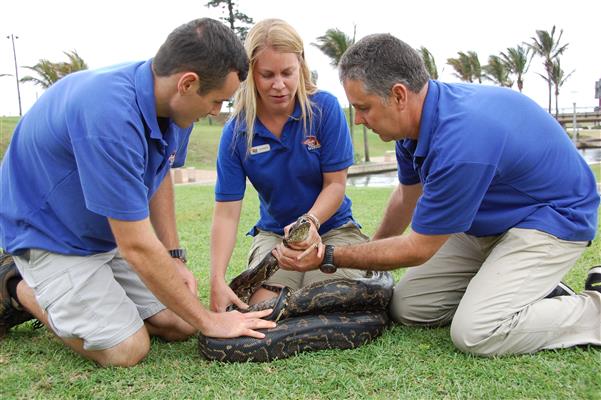 Pippa the rock python on the road to recovery | South Coast Herald