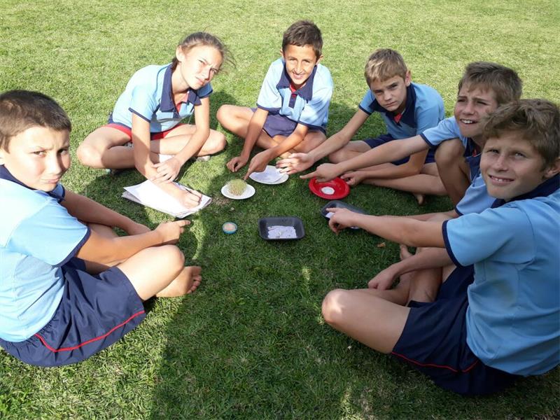 Suid-Natal Primêr leerlinge plant sade | South Coast Herald