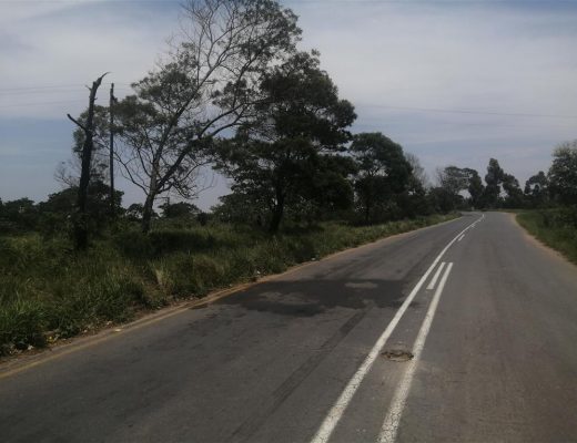 Gunmen shoot dead Margate taxi boss | South Coast Herald