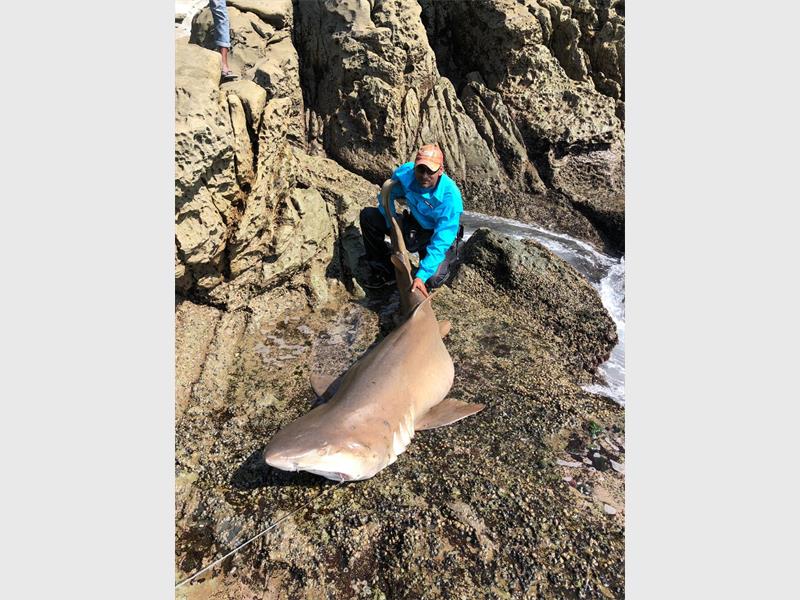 Herald Fishing: Raggies on the bite | South Coast Herald