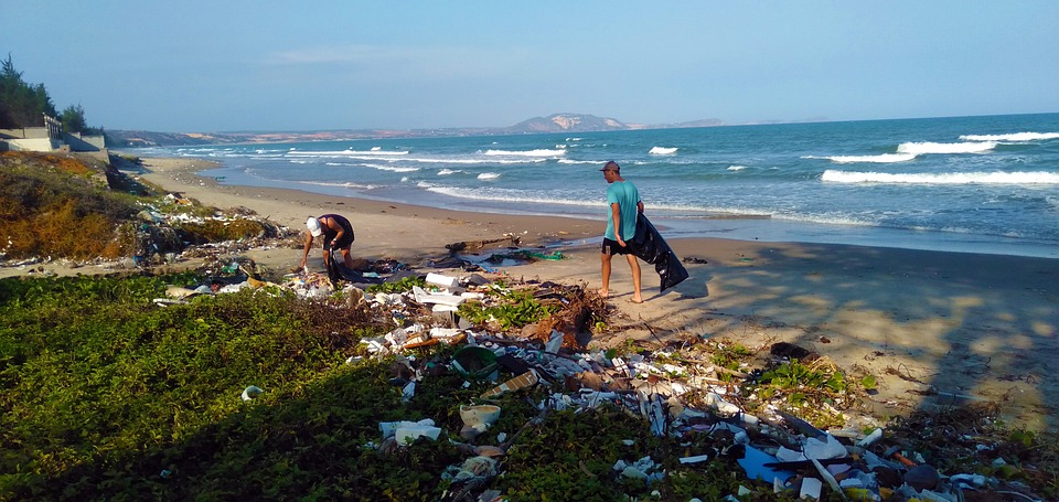 Join the Park Rynie beach clean up this Saturday | South Coast Herald