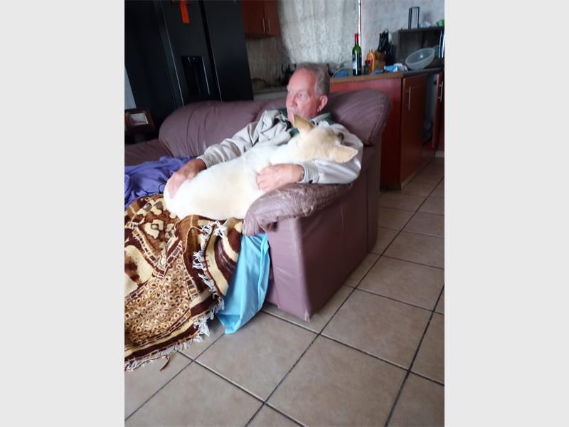 Dog mauled to death | South Coast Herald