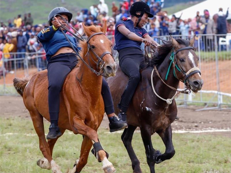 Rural horse racing returns | South Coast Herald