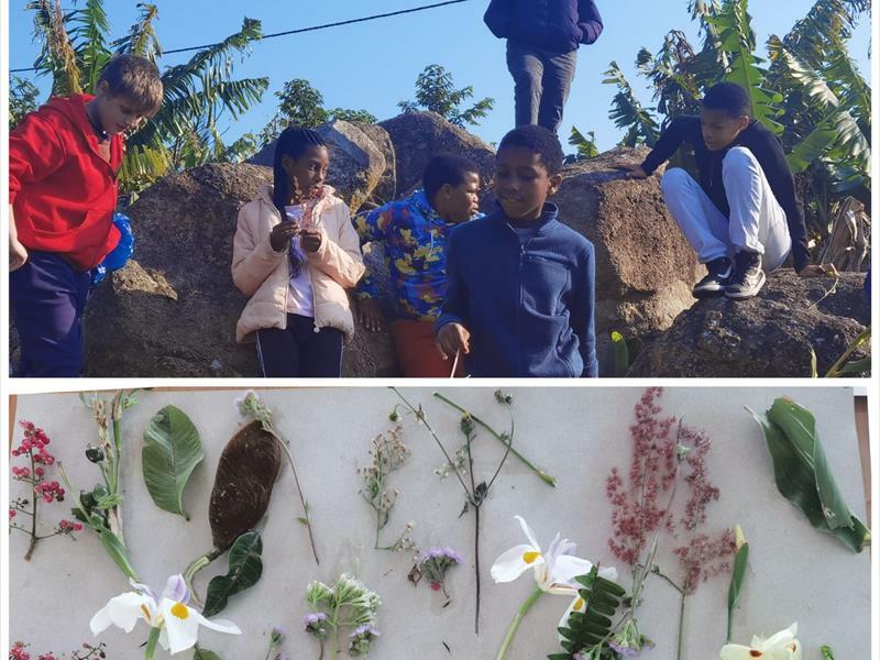 Exploring nature at Megan du Plessis | South Coast Herald