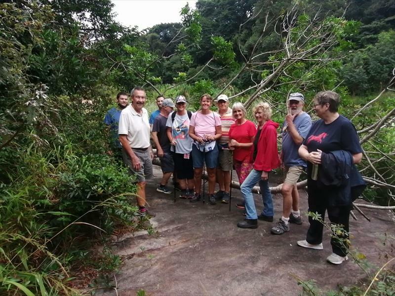 Talk, walk and unwind with local herbalist | South Coast Herald