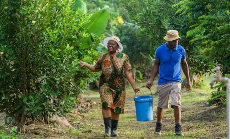 Amandawe farmstead attracts tourists | South Coast Herald